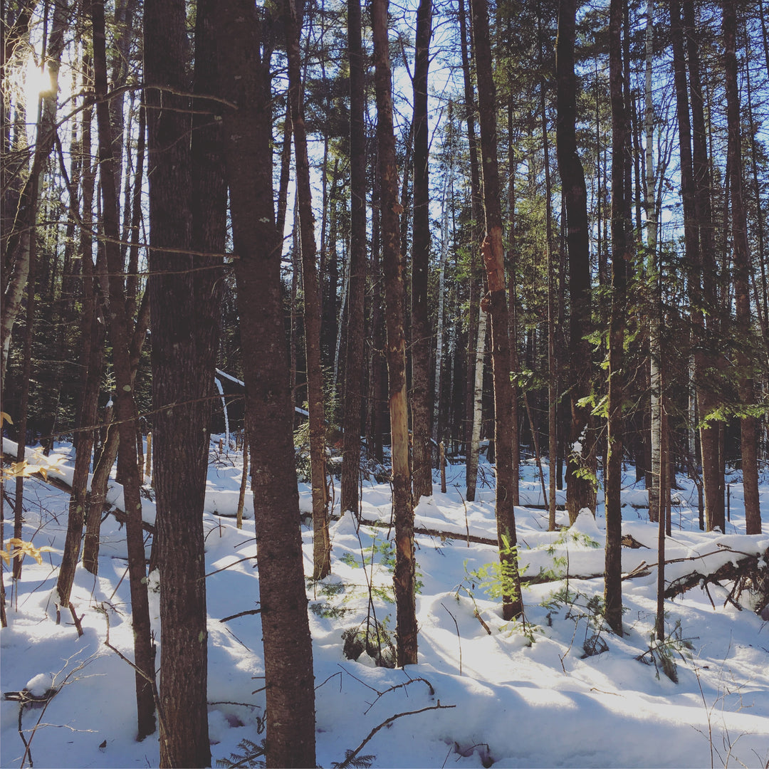 Nearby Nature